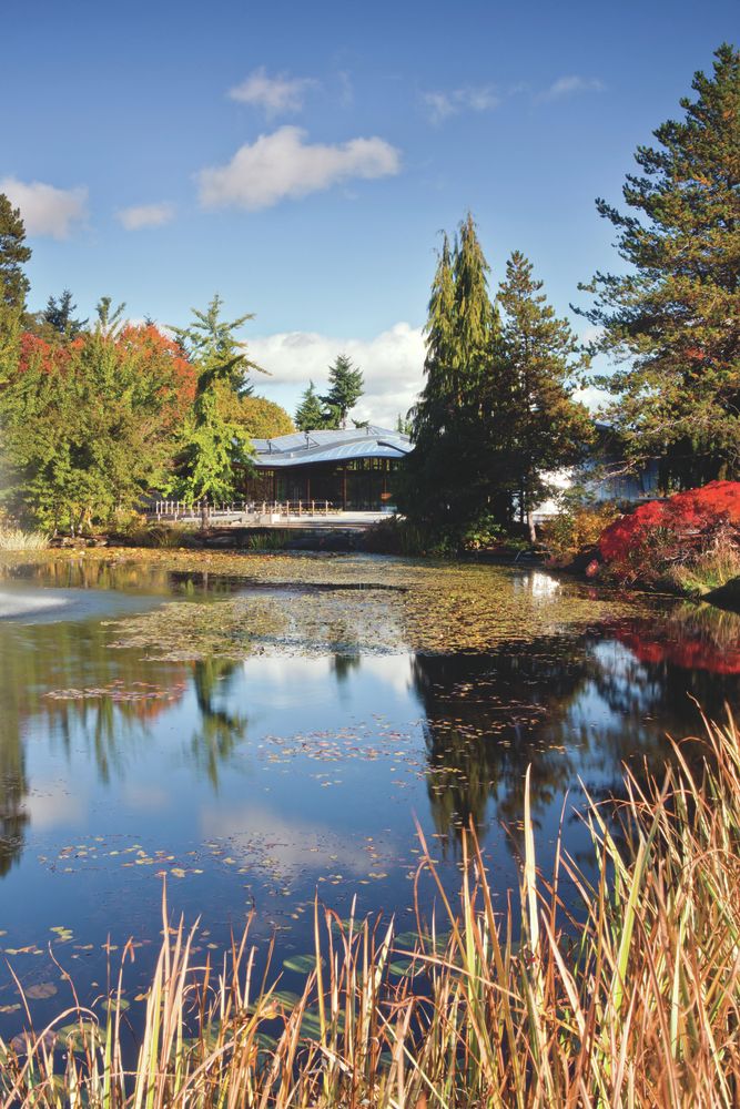 Integrating Architecture with Nature and Well-Being | Human Spaces