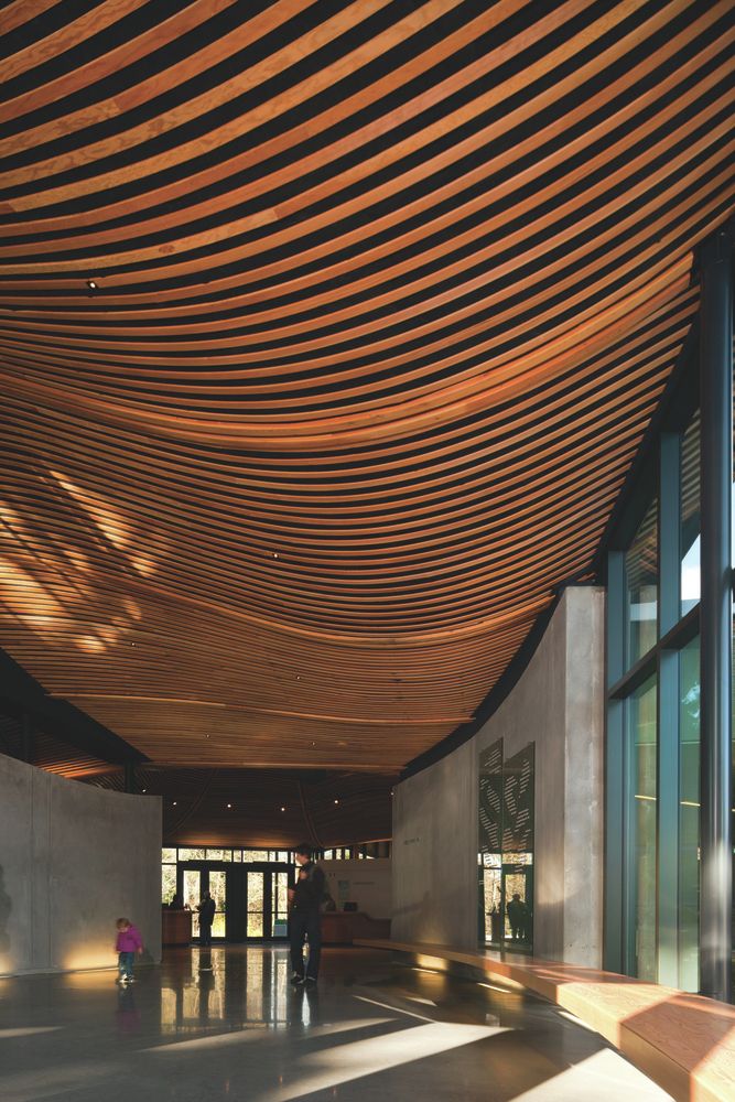 Integrating Architecture with Nature and Well-Being | Human Spaces