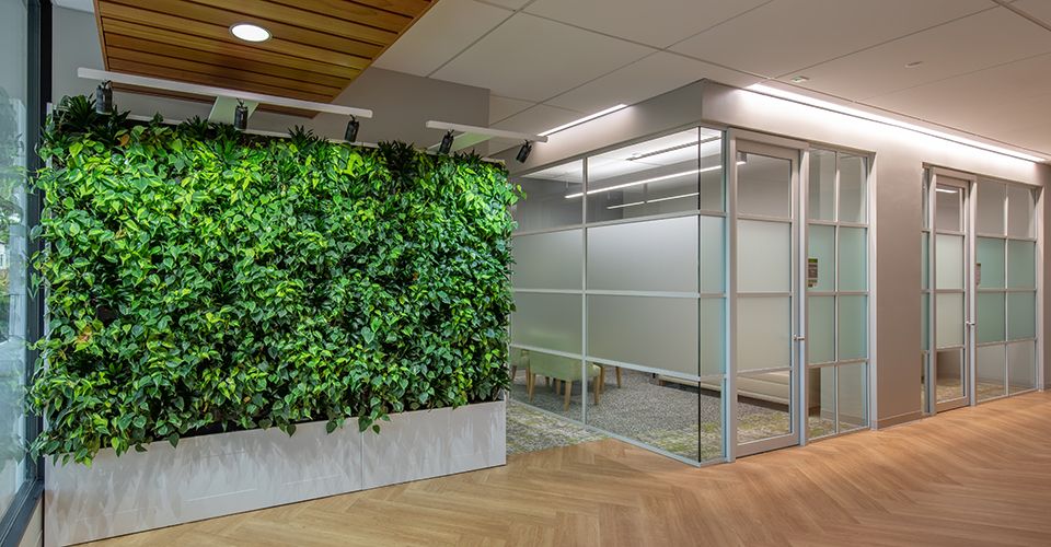 Biophilic Design and Better Brain Health at Emory MCIEP | Human Spaces