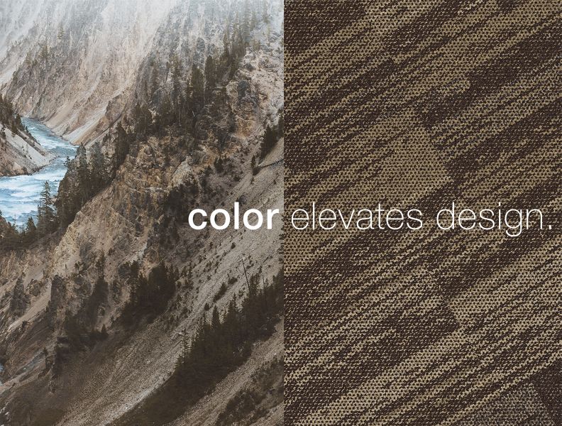 Aerial Flying Colours