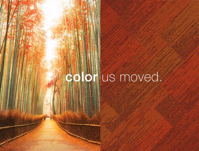 Aerial Flying Colours