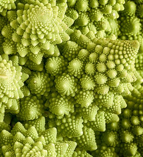 Why Do We Rely So Much on Geometry in Our Designs? | Human Spaces