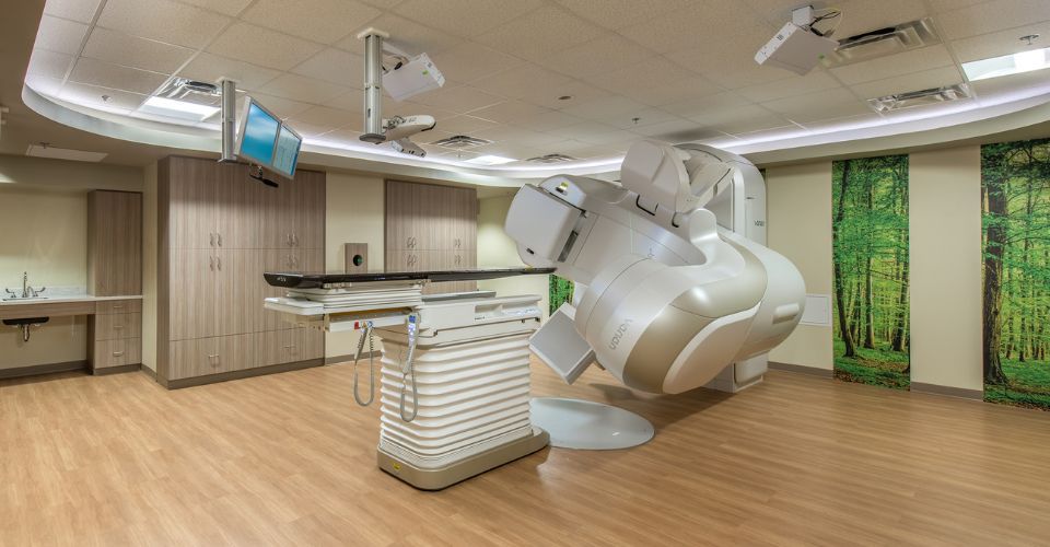 How Biophilic Design Contributes to Healthcare Excellence | Human Spaces